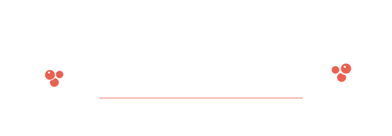 gskh-logo-weihnachten | GSKH